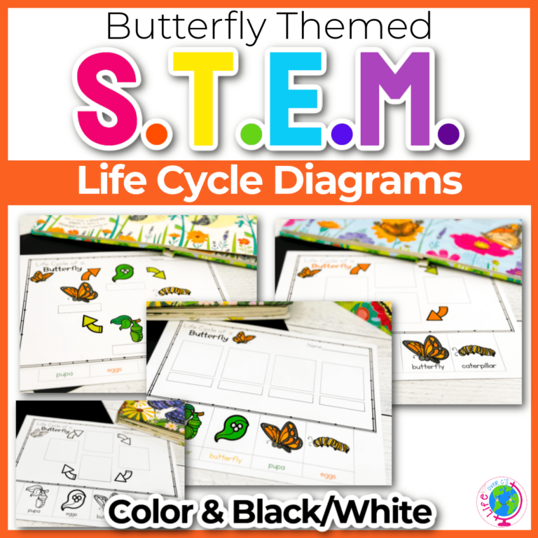 Life Cycle Diagrams: Butterfly - Life Over C's Club